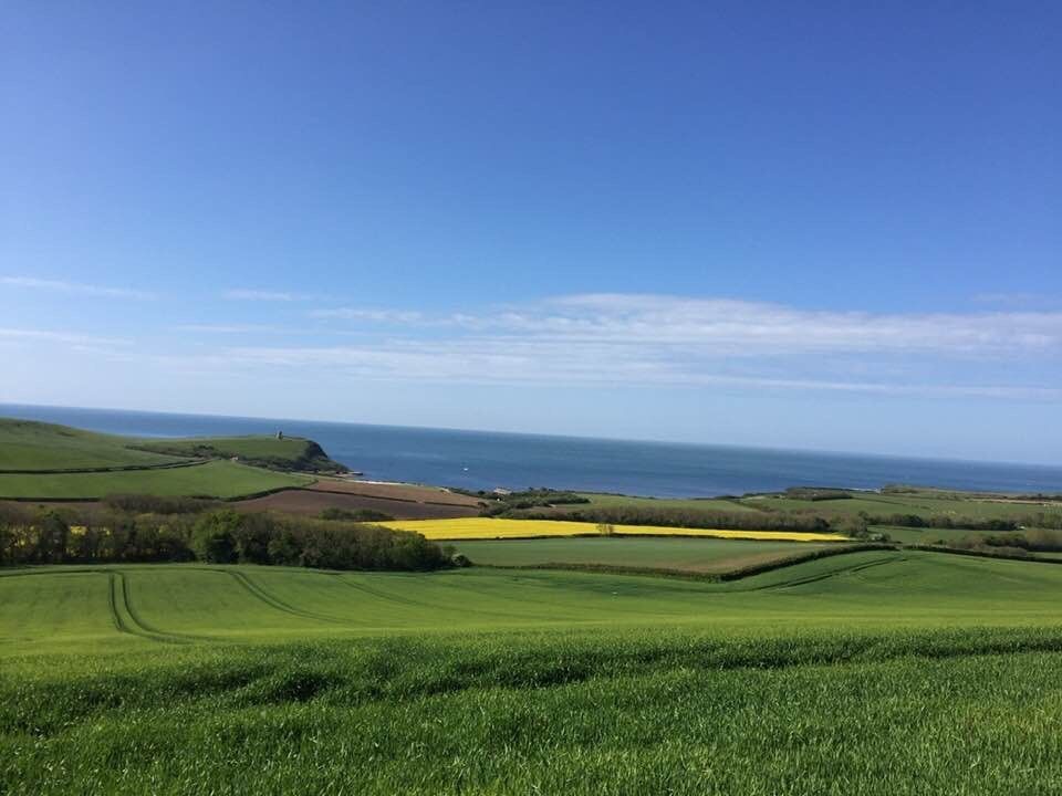 Things to Do in Dorset | Country Holiday Breaks | East Creech Farm