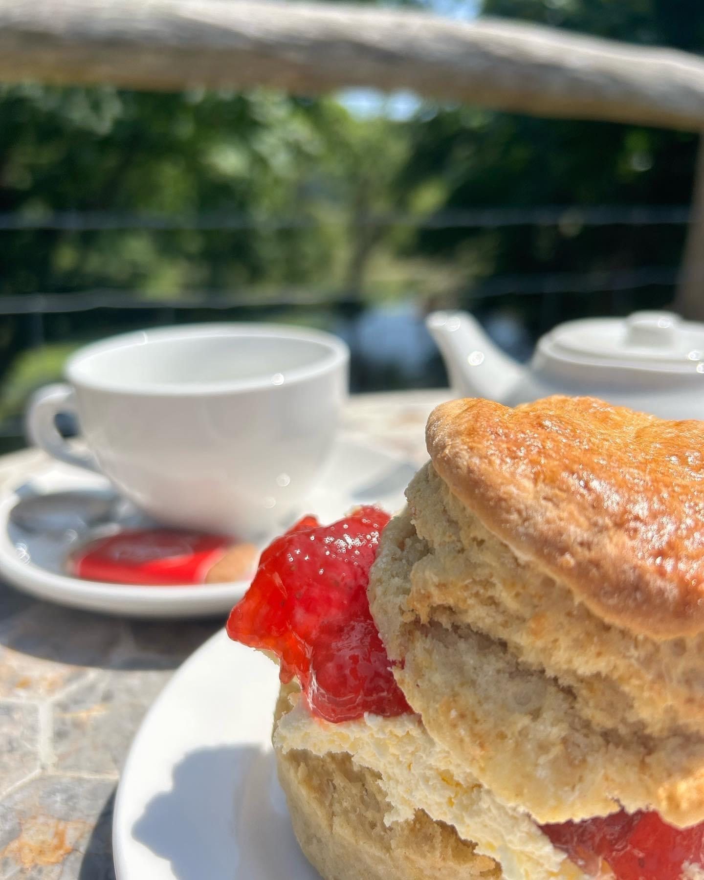 Camping Holidays in Dorset | 80 Electric Pitches | East Creech Farm ...