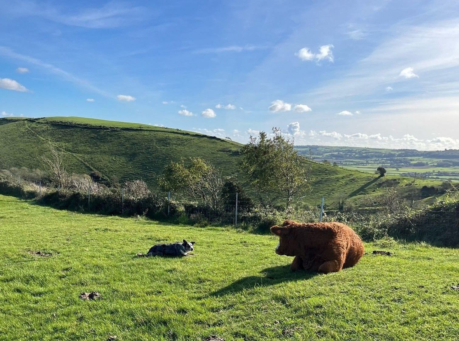 Relaxing Rural Holidays in Dorset | East Creech Farm