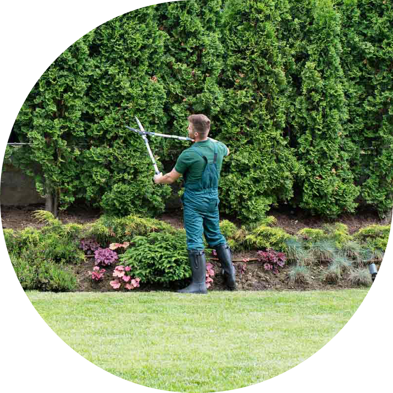 Lawn Services | Kansas City, MO | TMB Lawn Care
