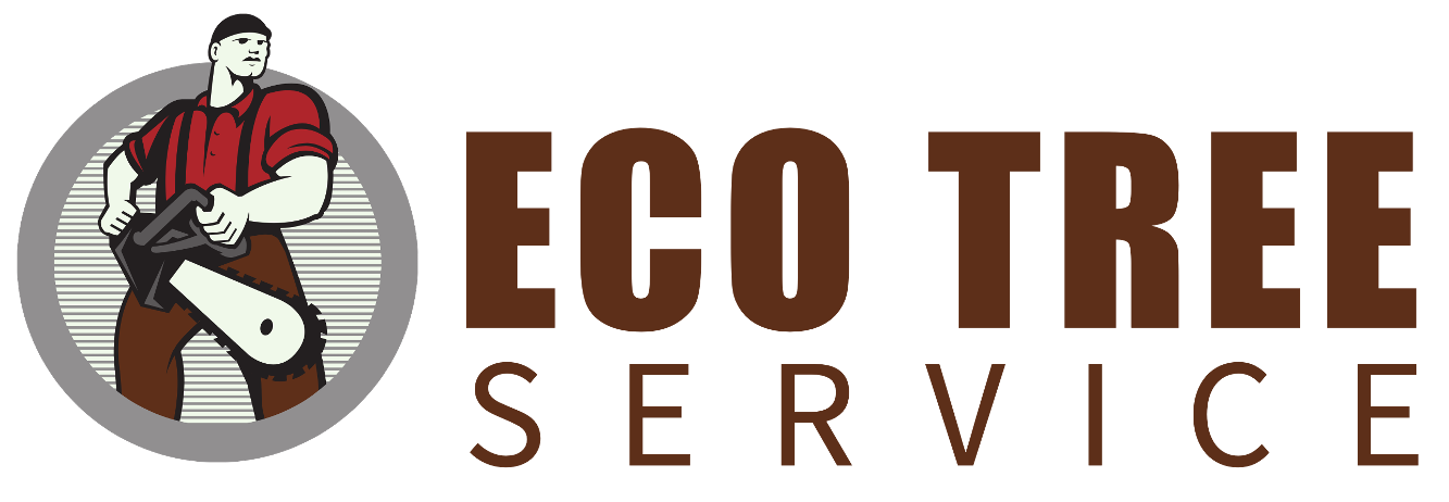 Tree Service | Allentown, Bethlehem | Lehigh Valley