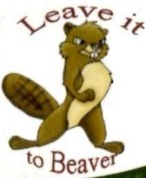 Concrete Pouring – Atlanta, GA – Beaver Tree Services