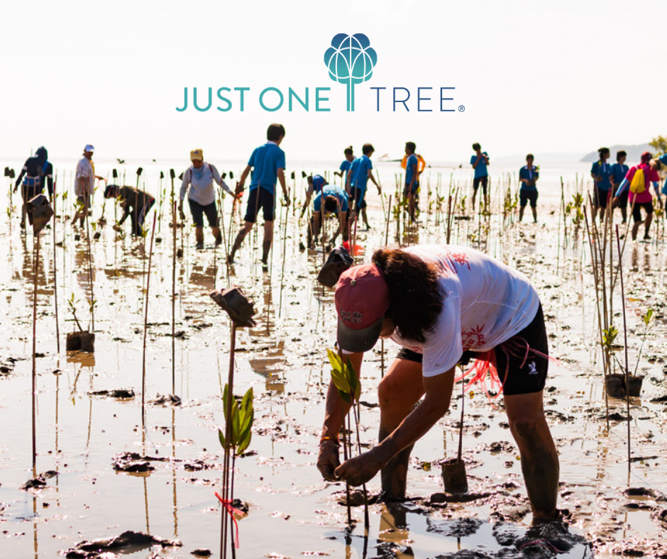 Just One Tree | Claremont Consulting