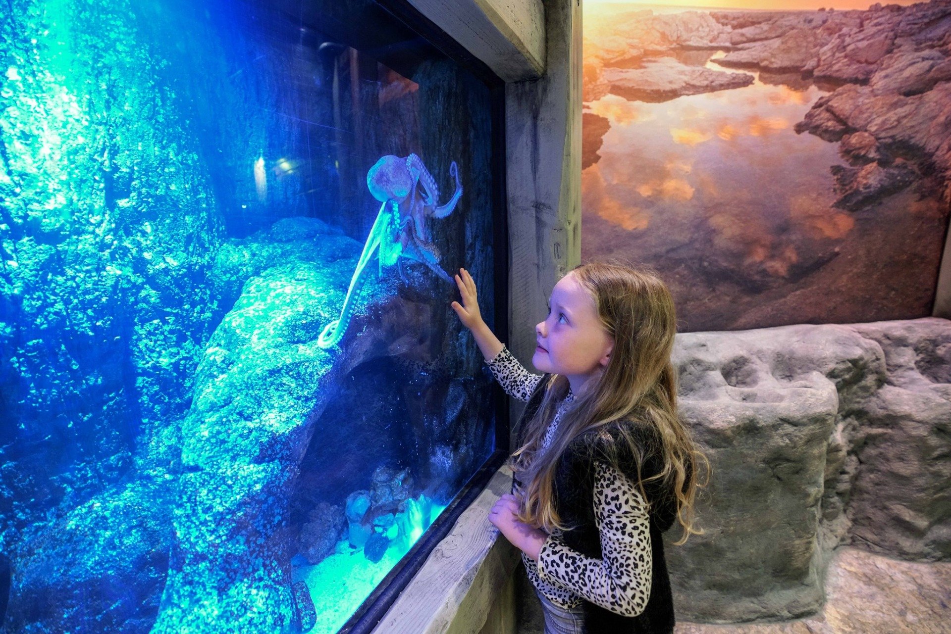 Norfolk & Suffolk Tourist Attractions - Norwich, Norfolk - Animals ...