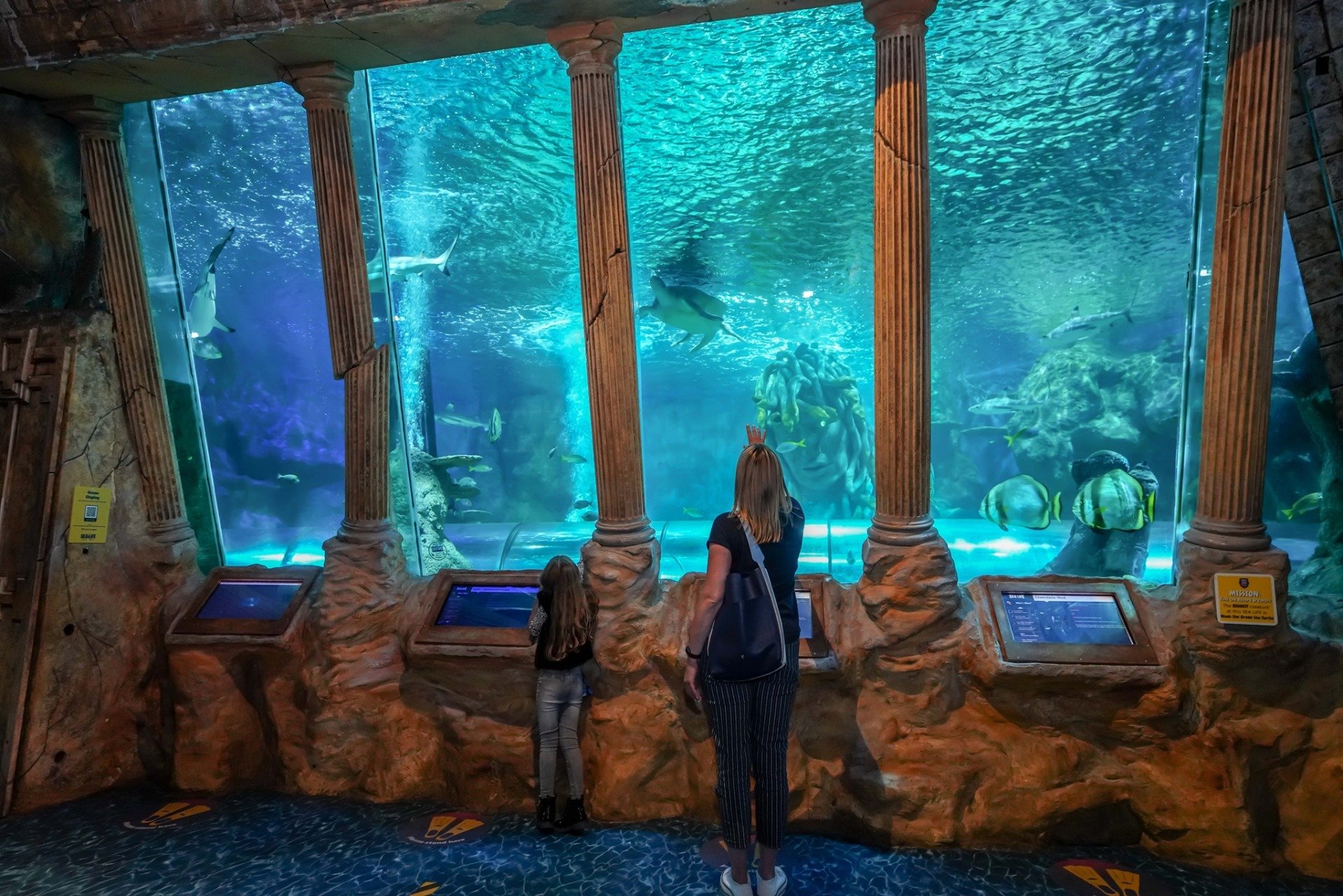 Norfolk & Suffolk Tourist Attractions - Norwich, Norfolk - Animals ...