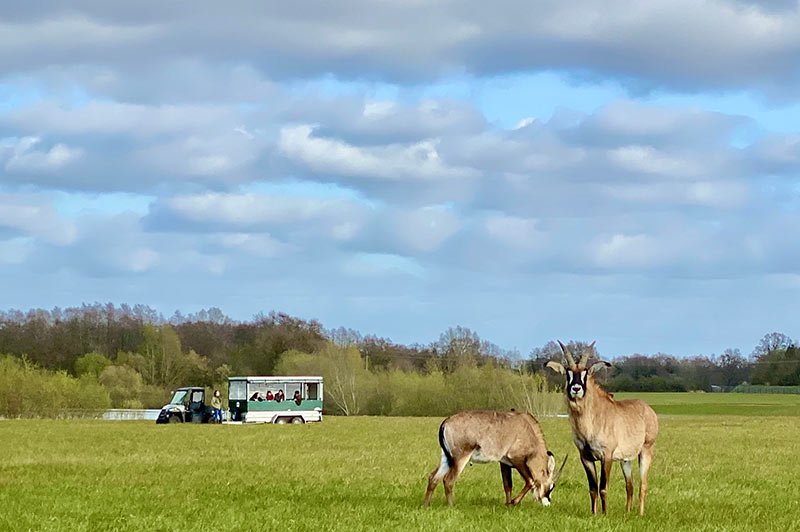 Norfolk & Suffolk Tourist Attractions - Norwich, Norfolk - Animals ...