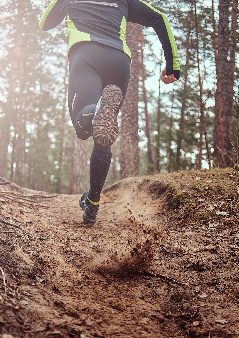 Specialized Trainers