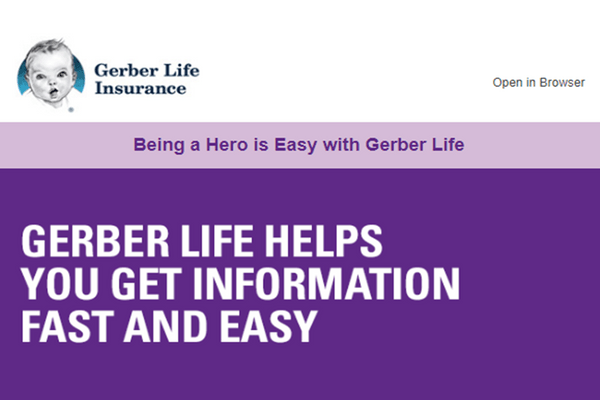 Gerber Life Agent Tools - Niche Market Insurers