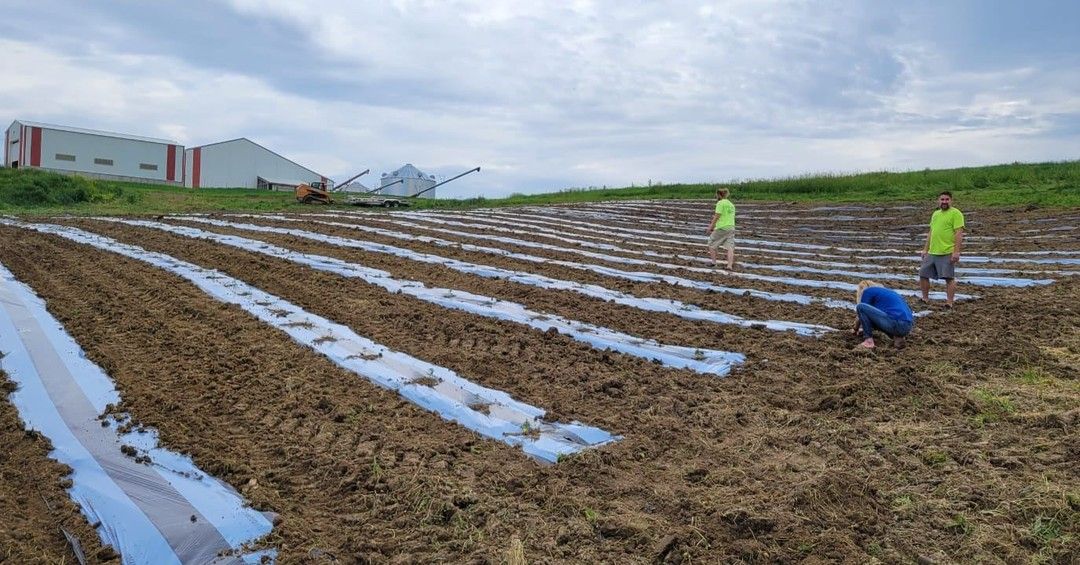 The Environmental Benefits of Hemp Farming.