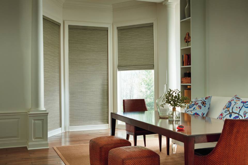 Neutral Colors from Hunter Douglas by Rachel Brosky Interiors near ...