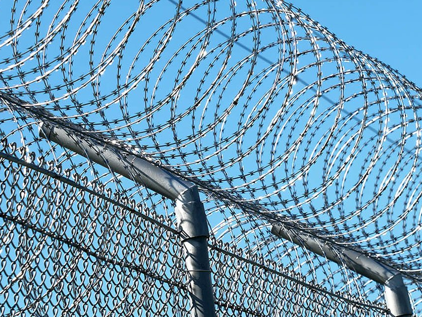 Home | Lion Fencing & Steel Supplies