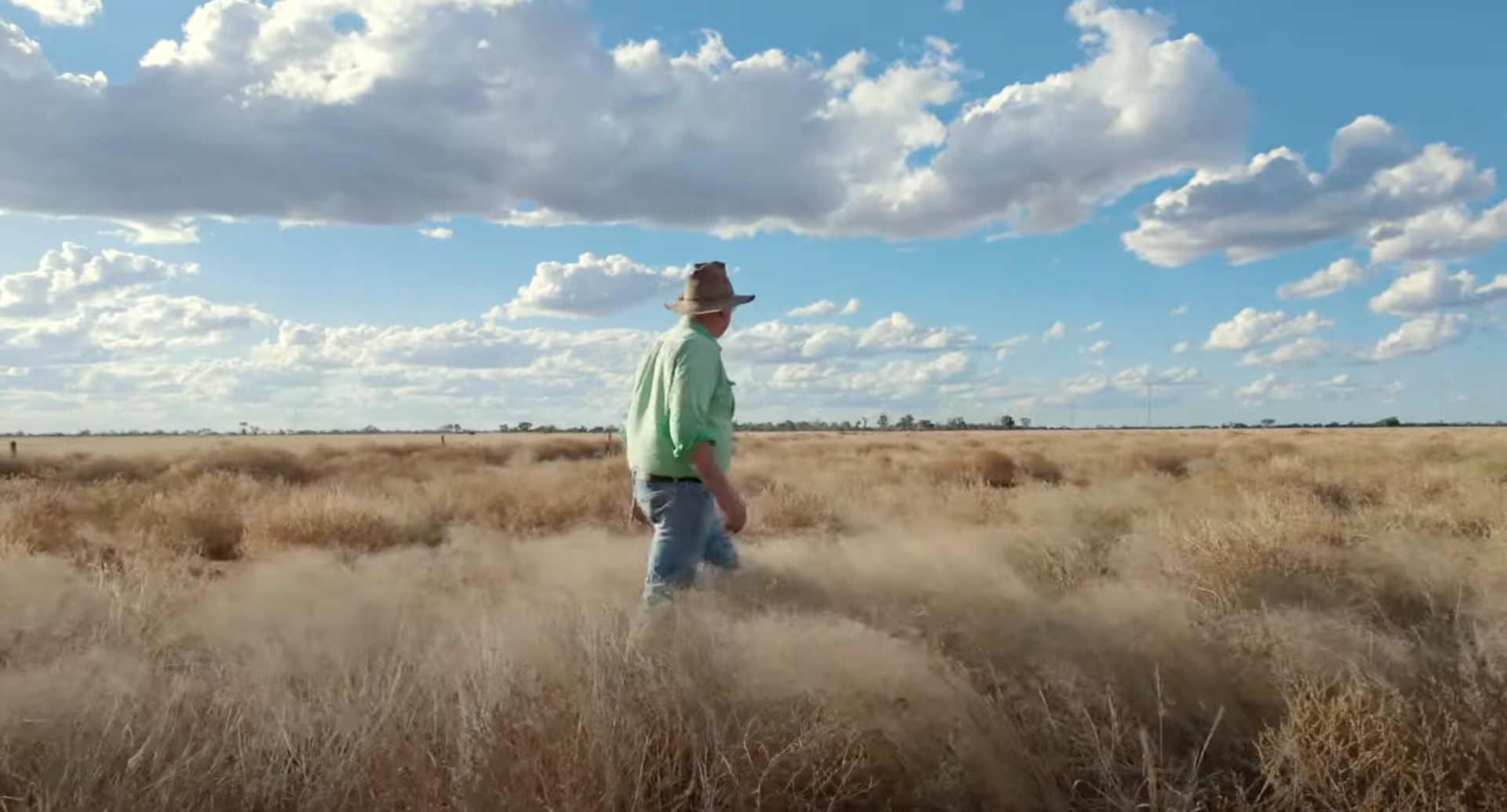 Growing Climate Smart Grazing in the Condamine River Basin