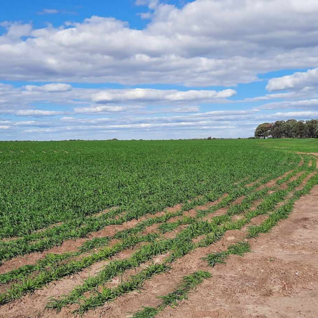Carbon Farming Study