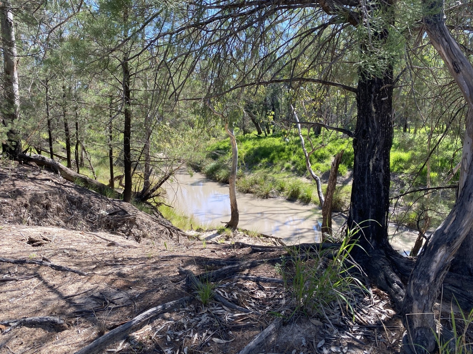 Get Funding for River Fencing and Off-Stream Watering