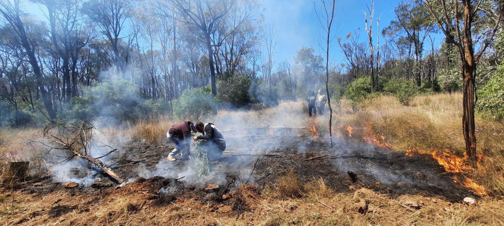 Environment Project | Southern Queensland Landscapes