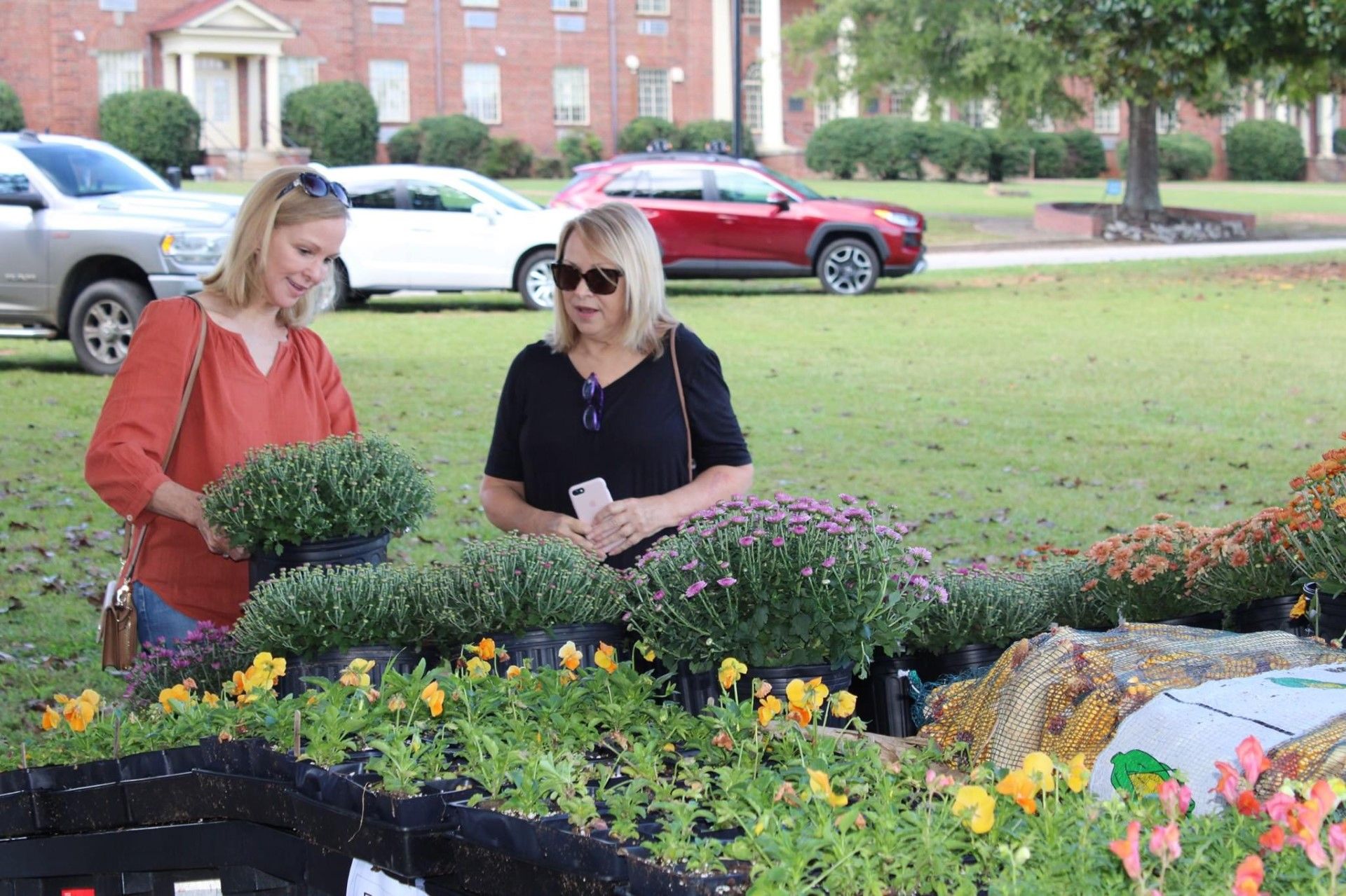 McCormick County | South Carolina Ag + Art Tour | Free Farm Tours