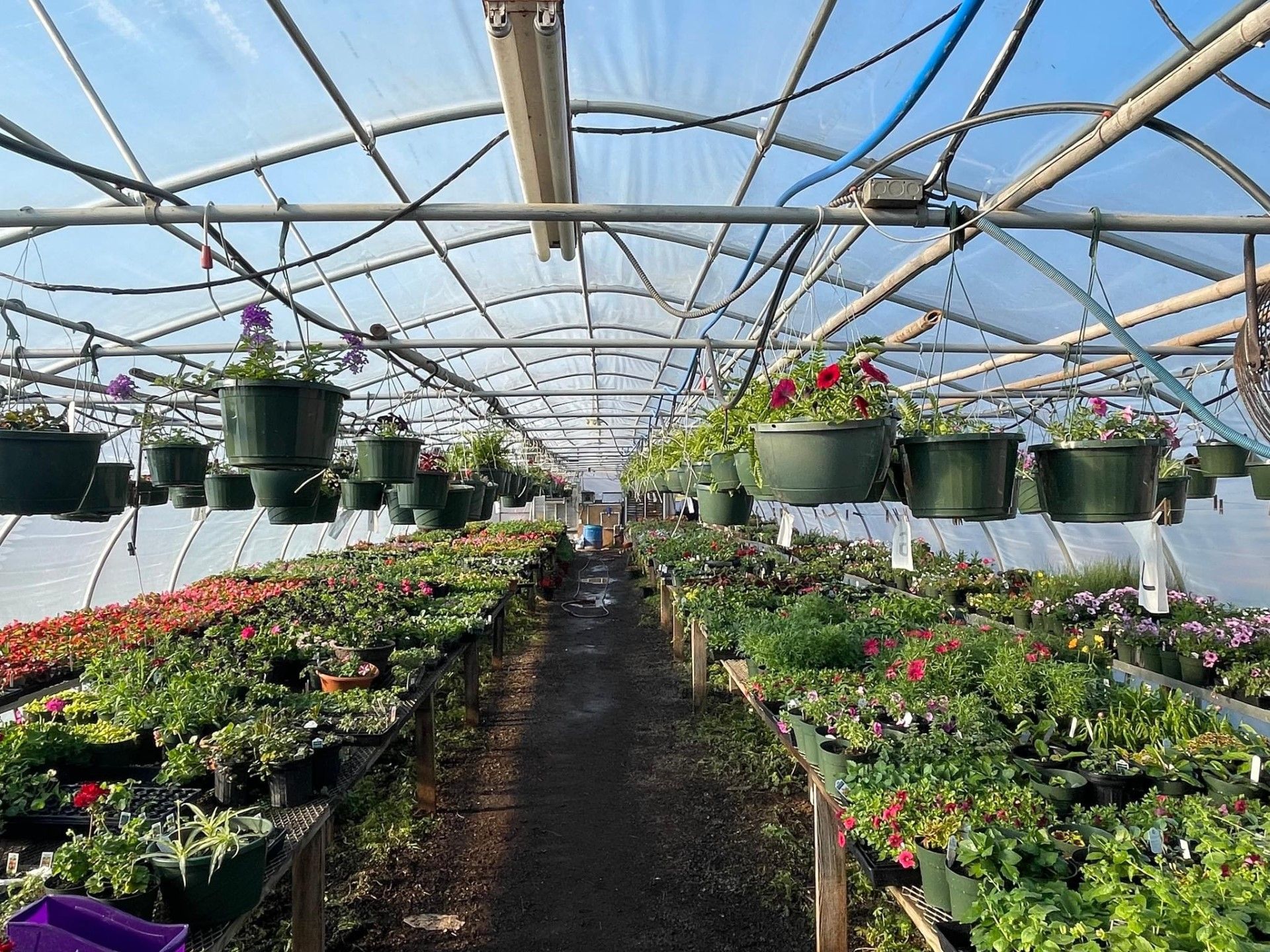 McCormick County | South Carolina Ag + Art Tour | Free Farm Tours