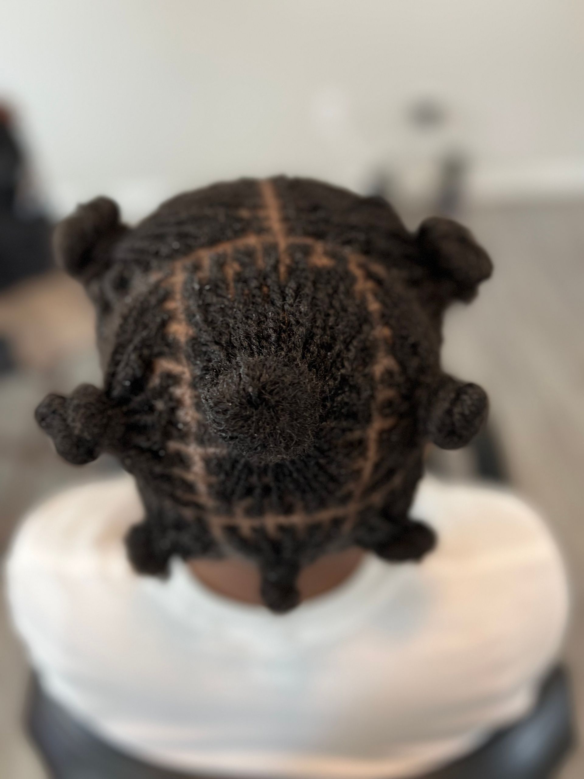 Best Loctician in Gastonia, NC | Budding Locs