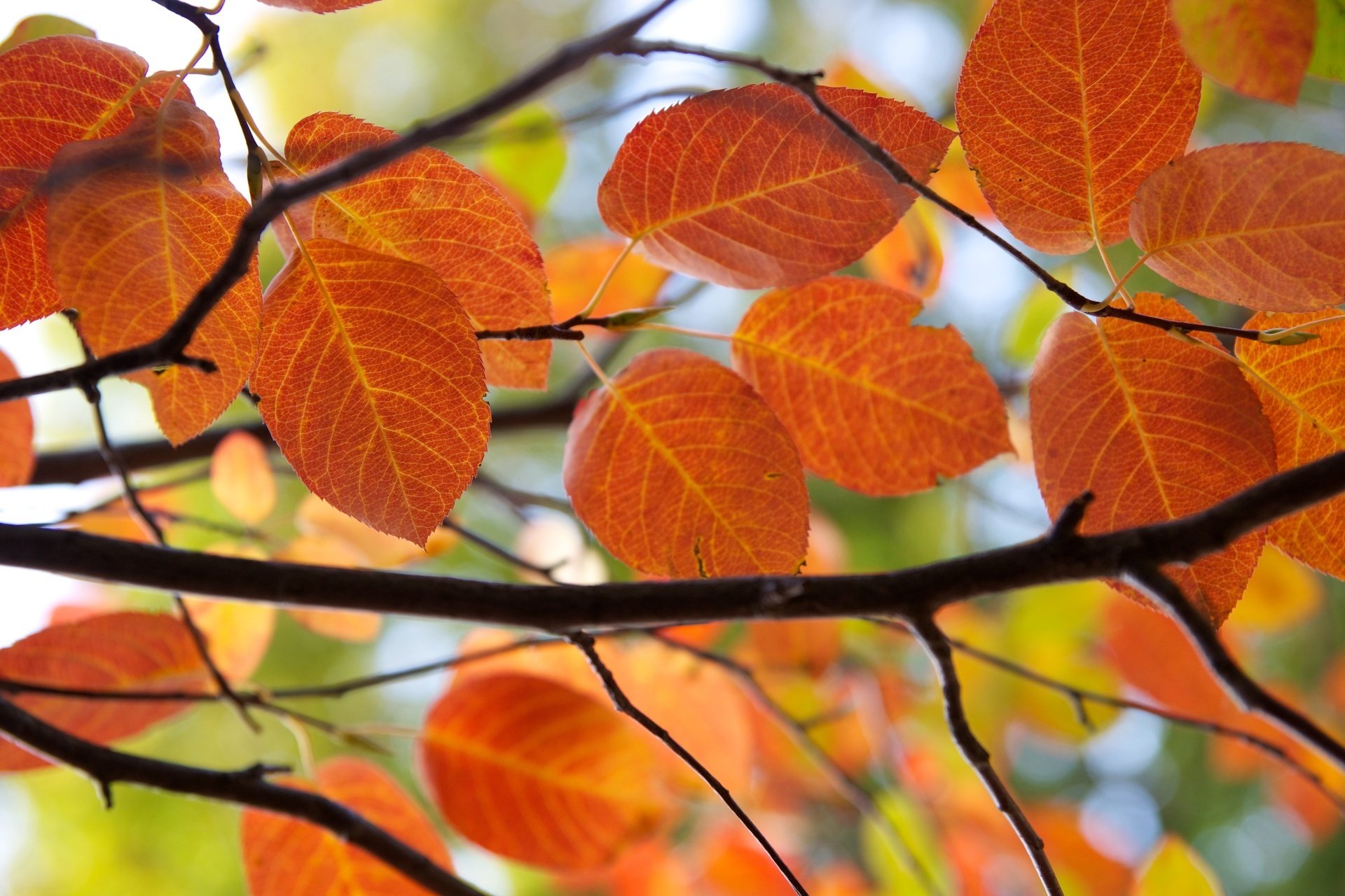 Update to the Moving Forward Together project