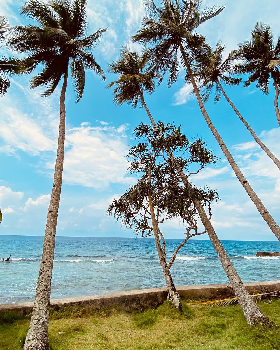 Exploring the Charm of Ambon City: A Harmony of Nature, Culture, and ...