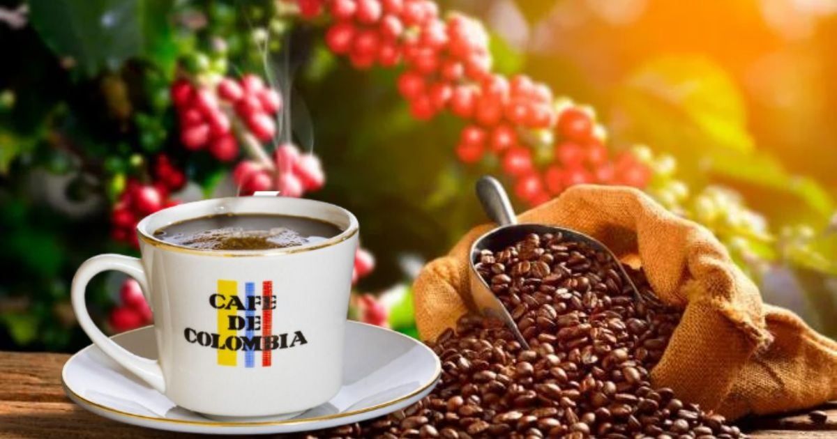 Colombia cerró el año cafetero con la mejor producción en más de tres ...