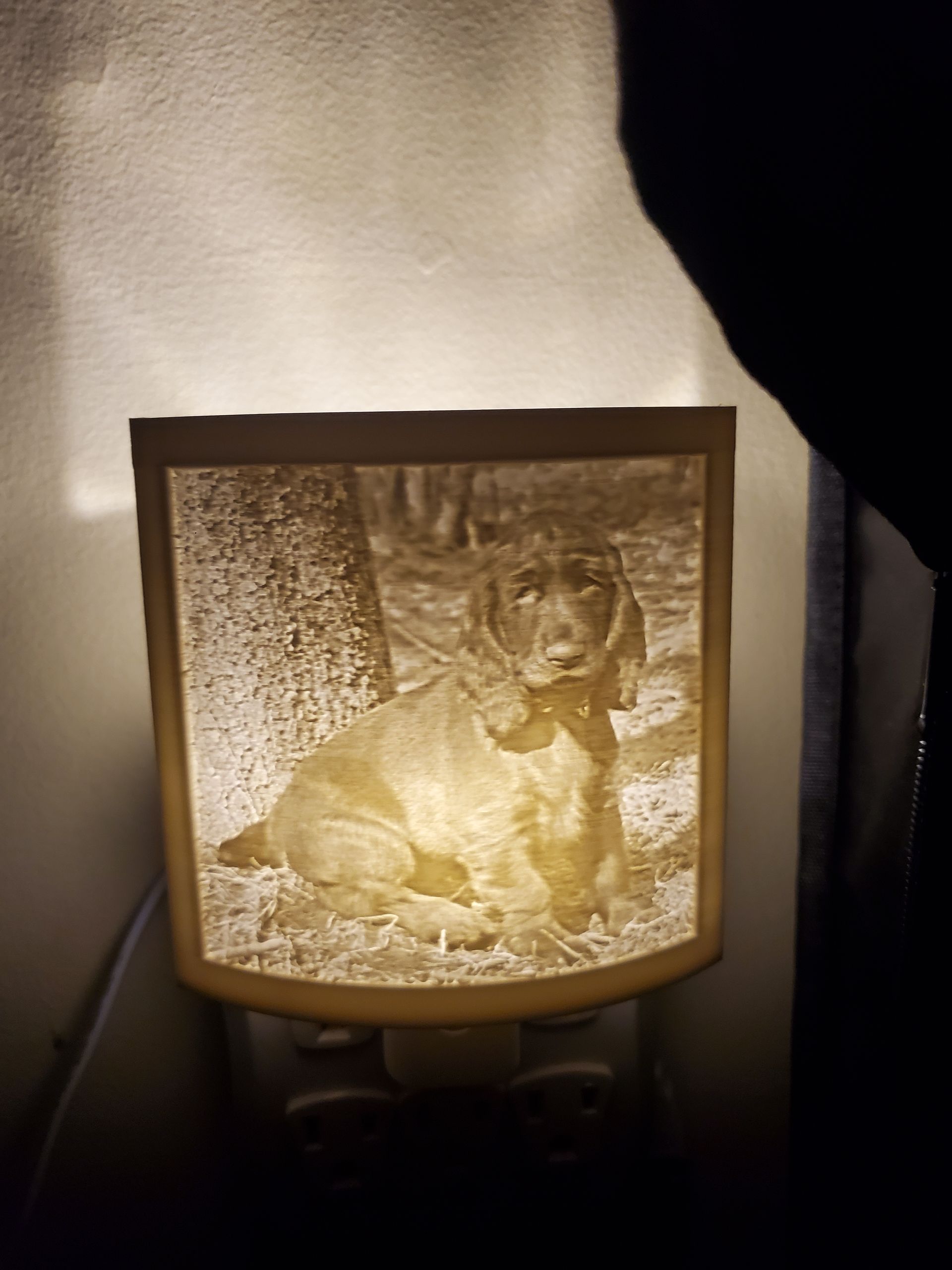 Lithophane Maker | 3D Abilities