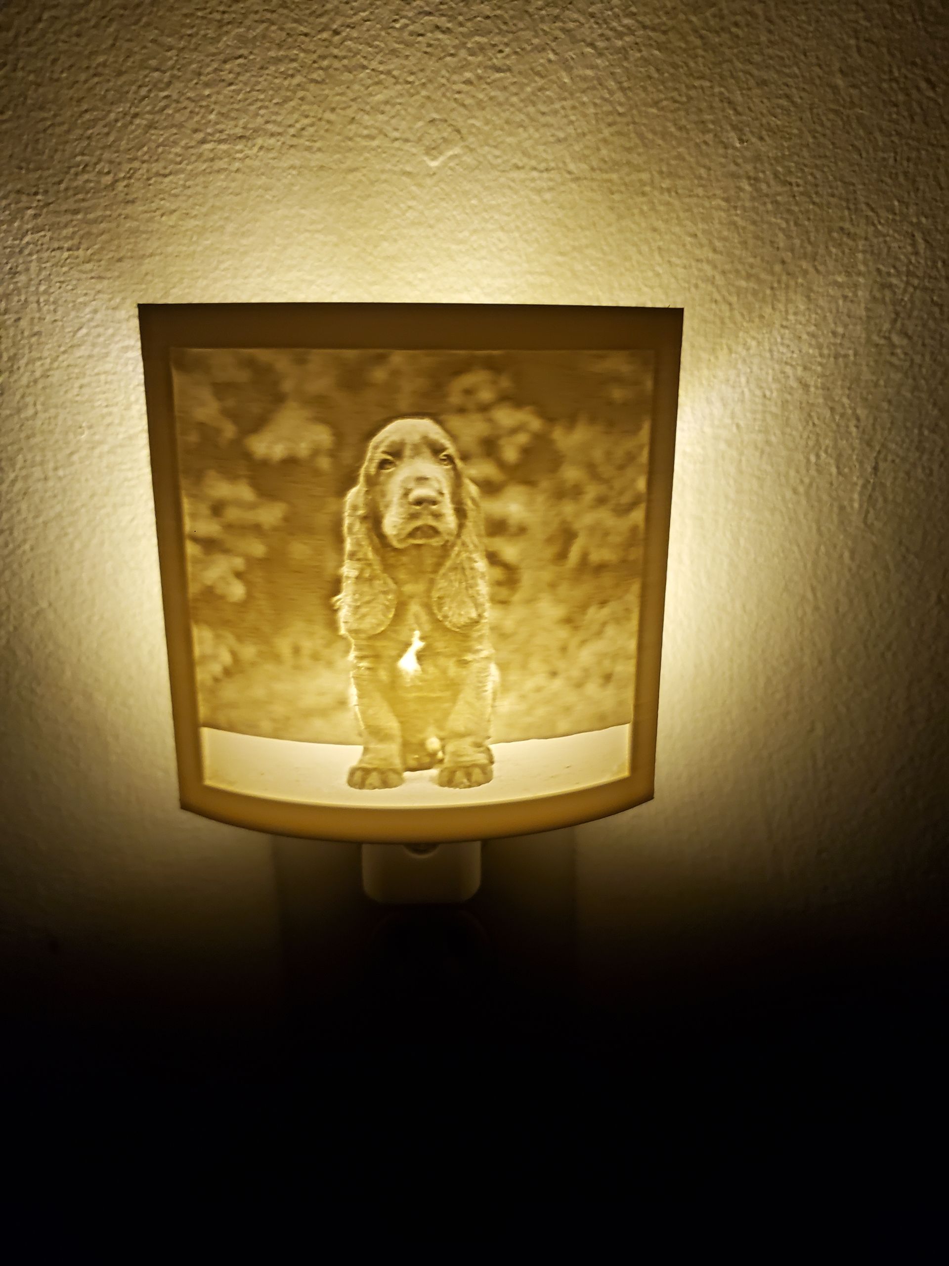 Lithophane Maker | 3D Abilities