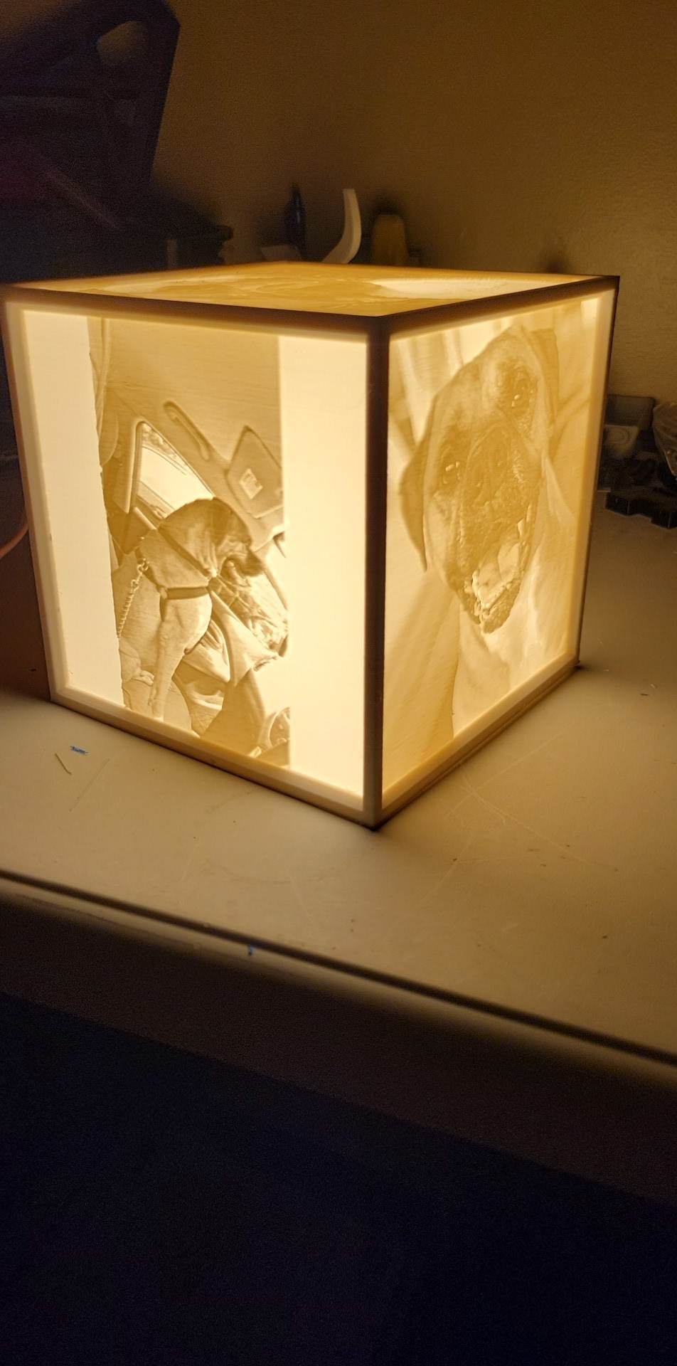 Lithophane Maker | 3D Abilities