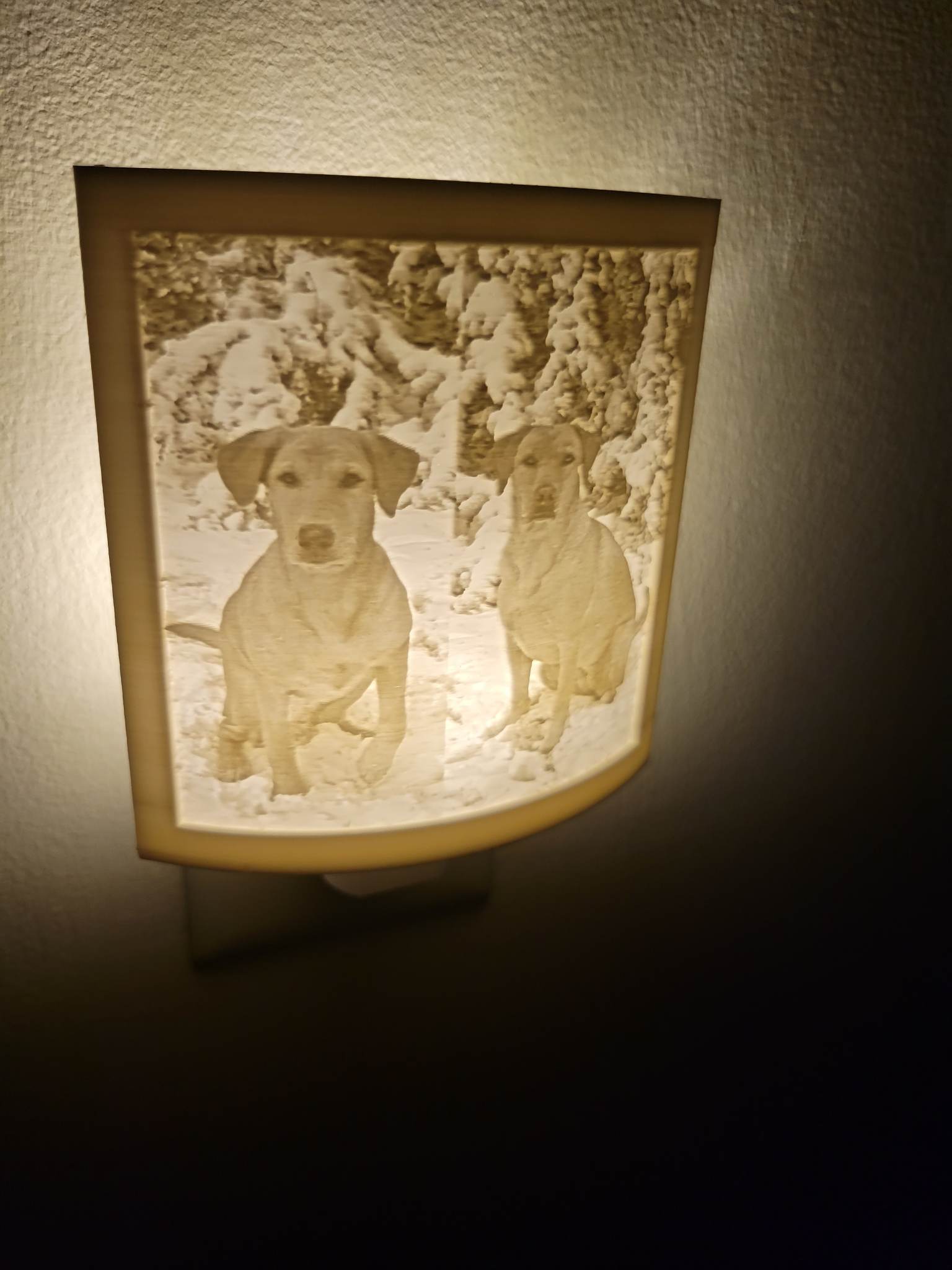 Lithophane Maker | 3D Abilities
