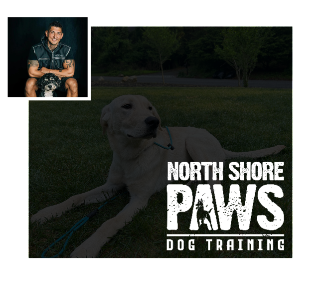 About Us | North Shore Paws Dog Training