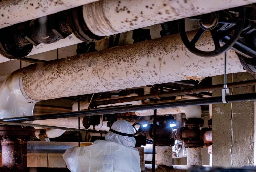 Understanding Mold & Asbestos: Key Health Risks for Homeowners