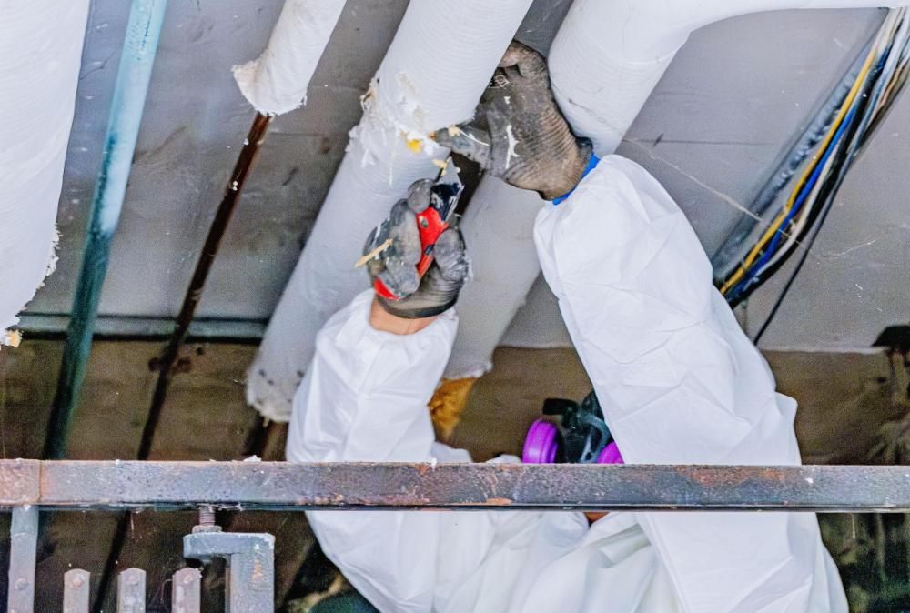 Understanding Mold & Asbestos: Key Health Risks for Homeowners
