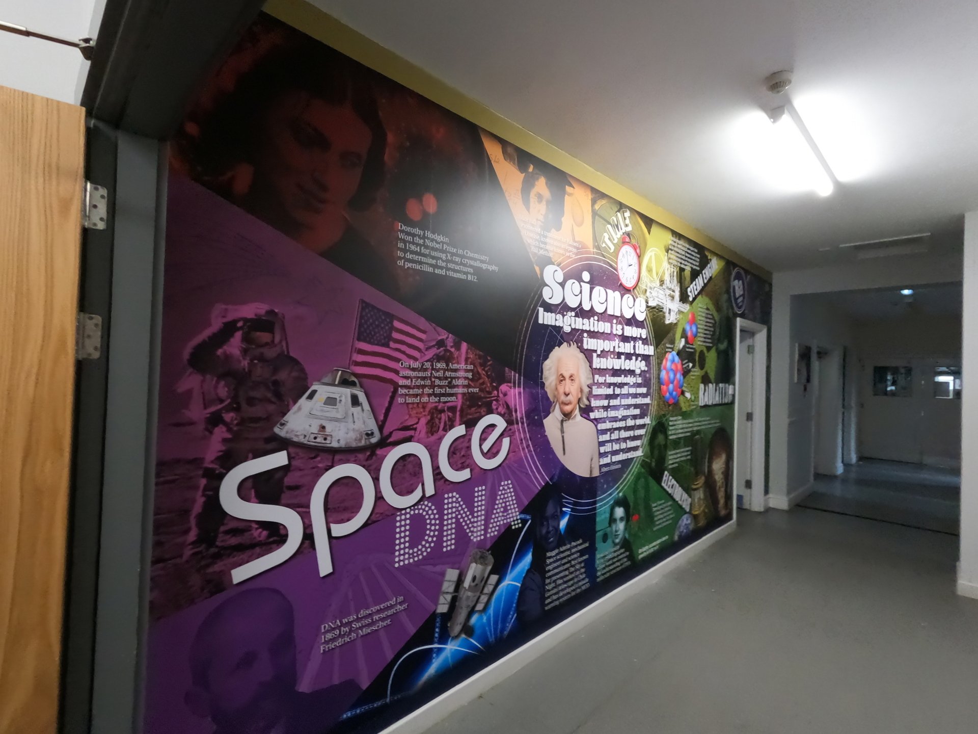 School Wall Graphics | Wall Art graphic | Walls Arts visual Service ...