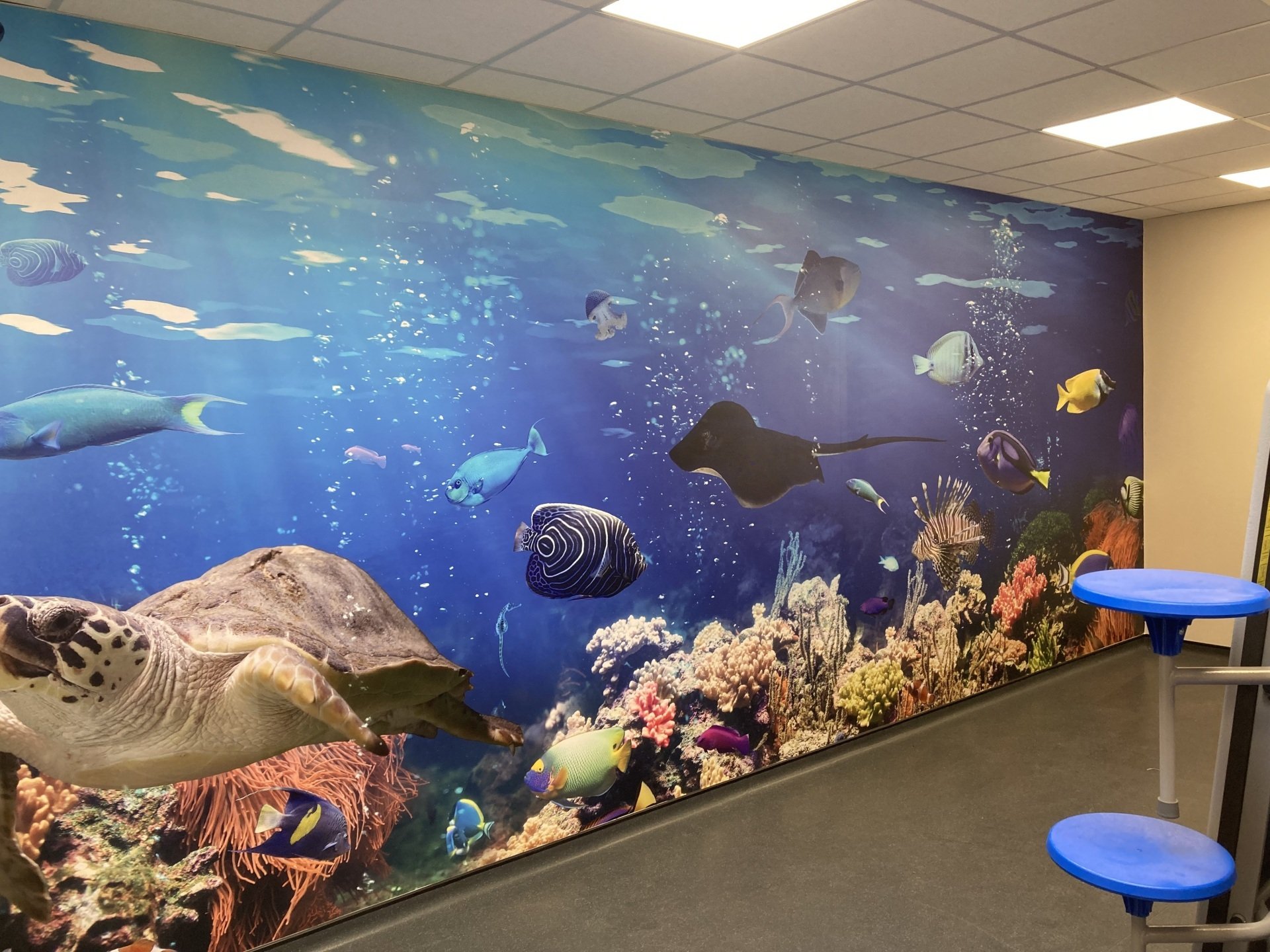 School Wall Graphics | Wall Art graphic | Walls Arts visual Service ...