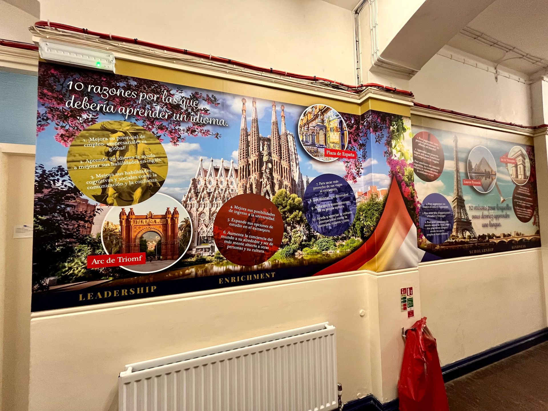 Bespoke School Wall Art Graphics | Cubed Creative