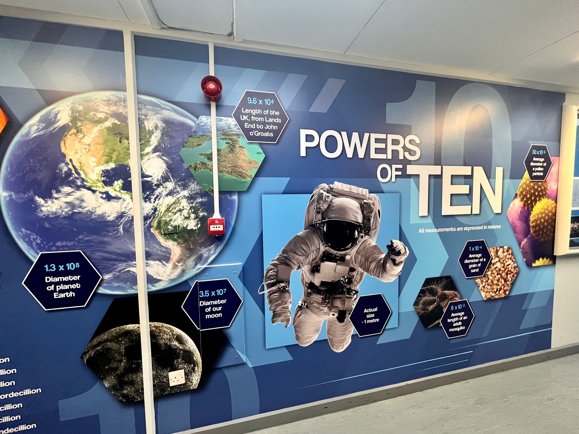 School Wall Graphics | Wall Art graphic | Walls Arts visual Service ...