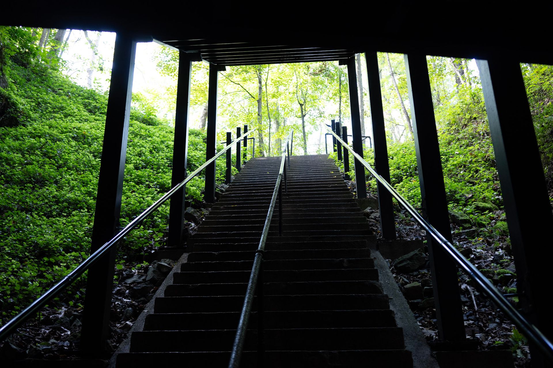 Explore Penn's Cave with a Guided Cave Tour | Penn's Cave & Wildlife Park