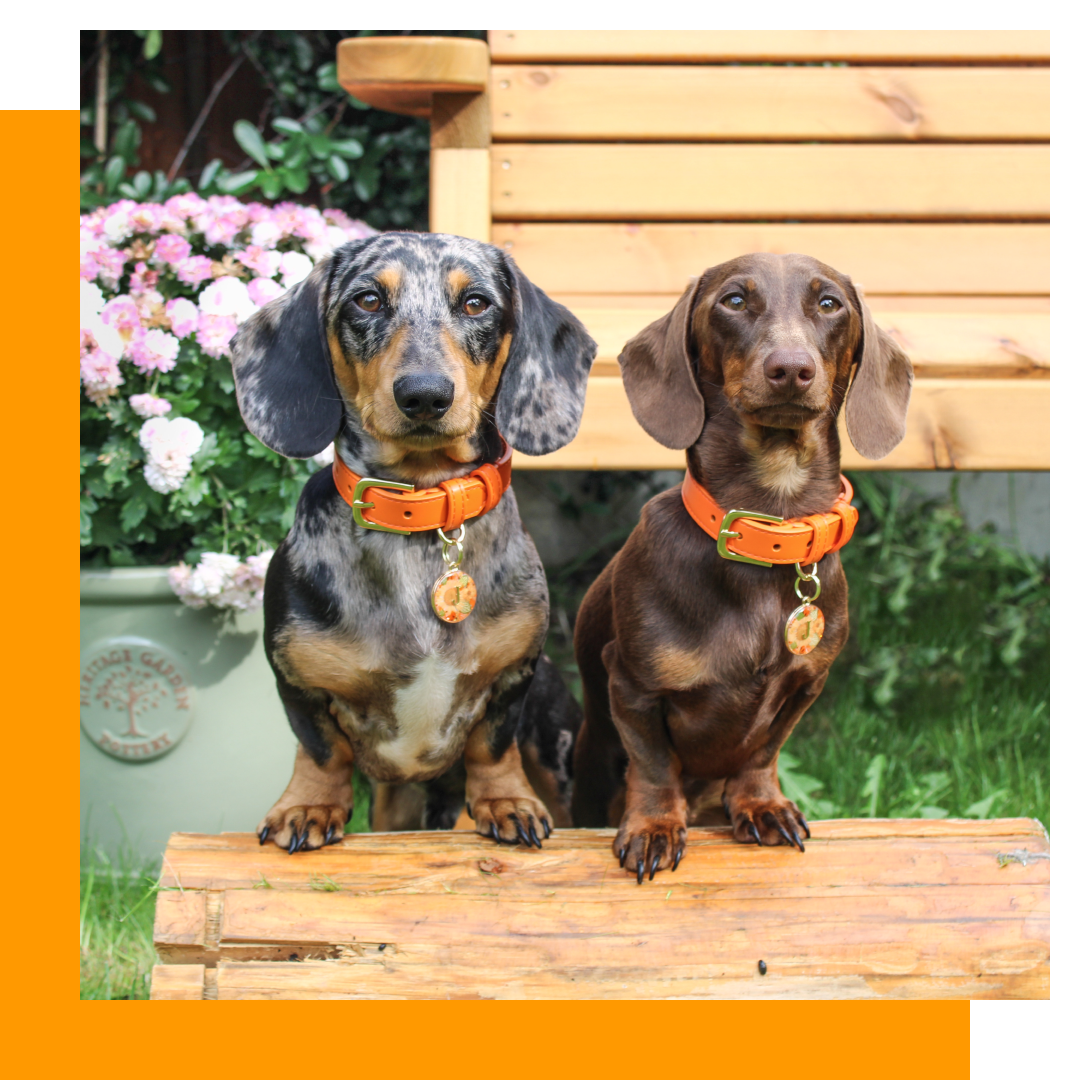 Our work | Orange PR