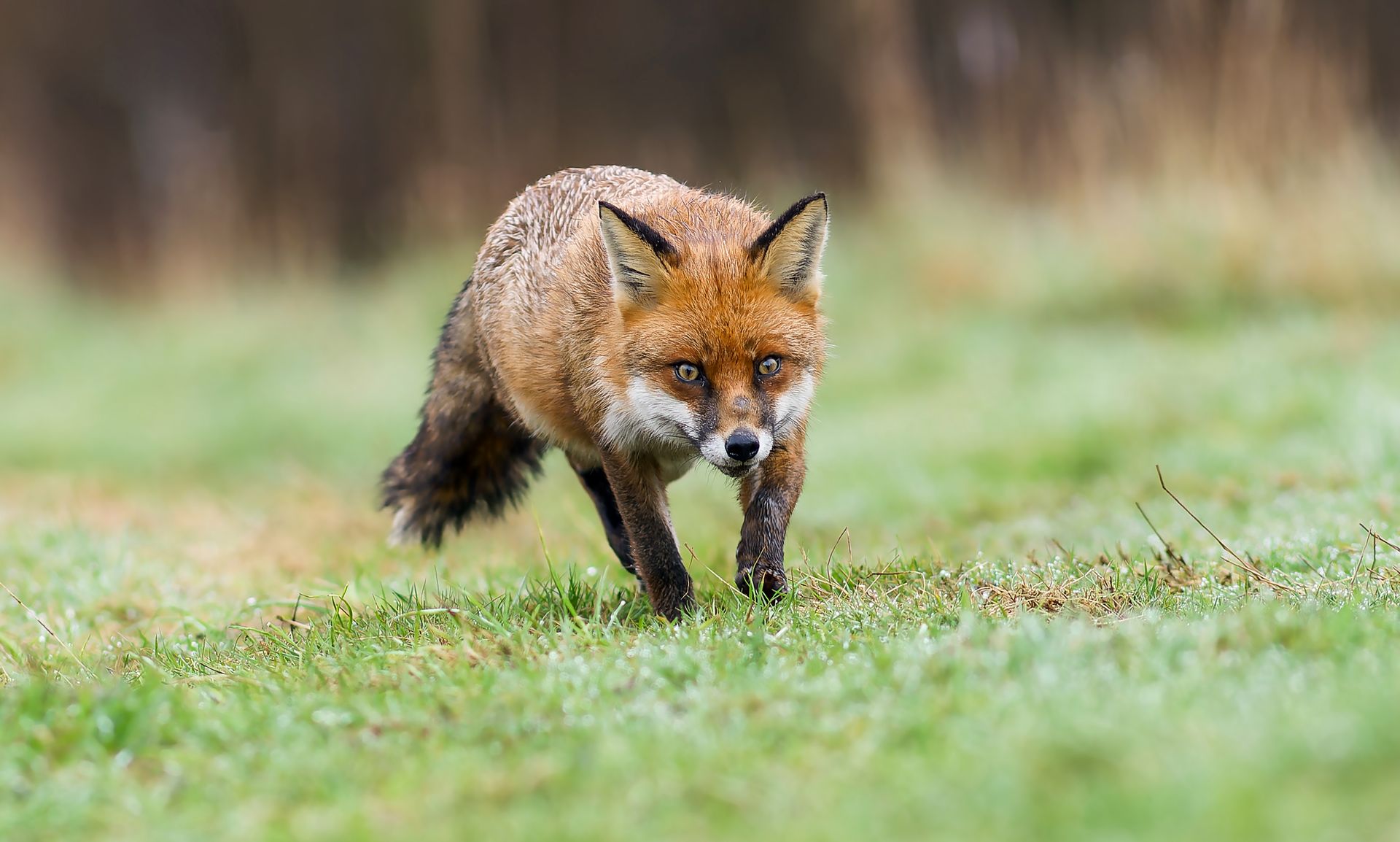 RAKphotographic - Image of the month