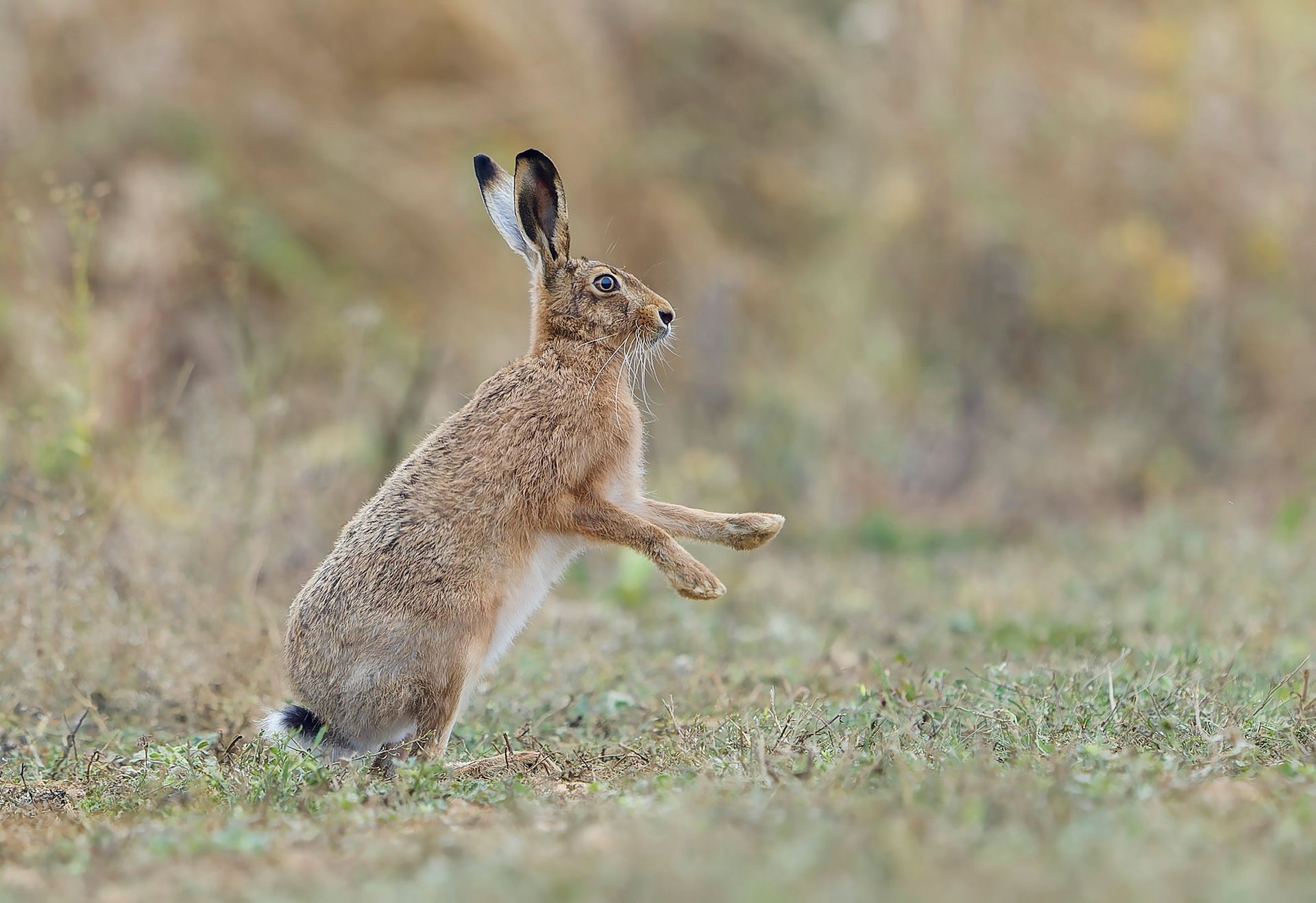 RAKphotographic - Image of the month
