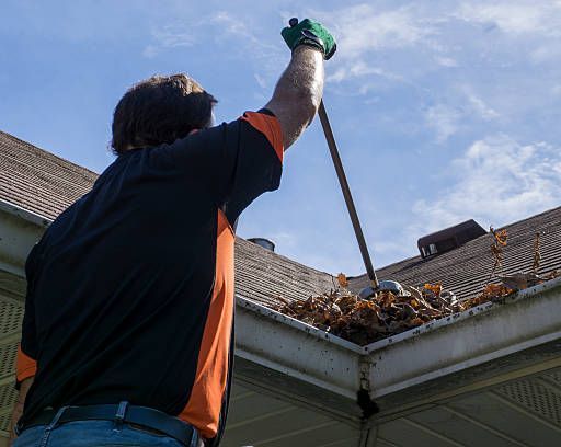 5 Reasons why a professional should clean your gutters