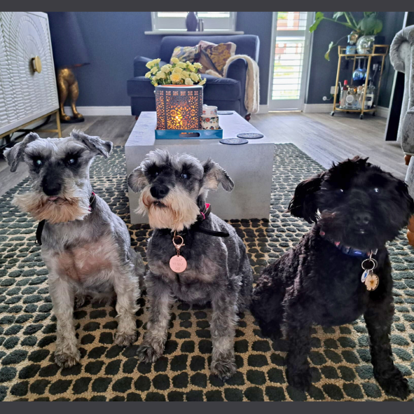 About 1-Fix | Award-Winning IT Support | Reading, Berkshire