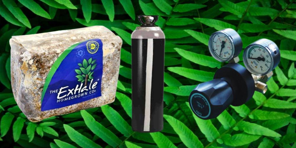 CO2 Enrichment Advantages