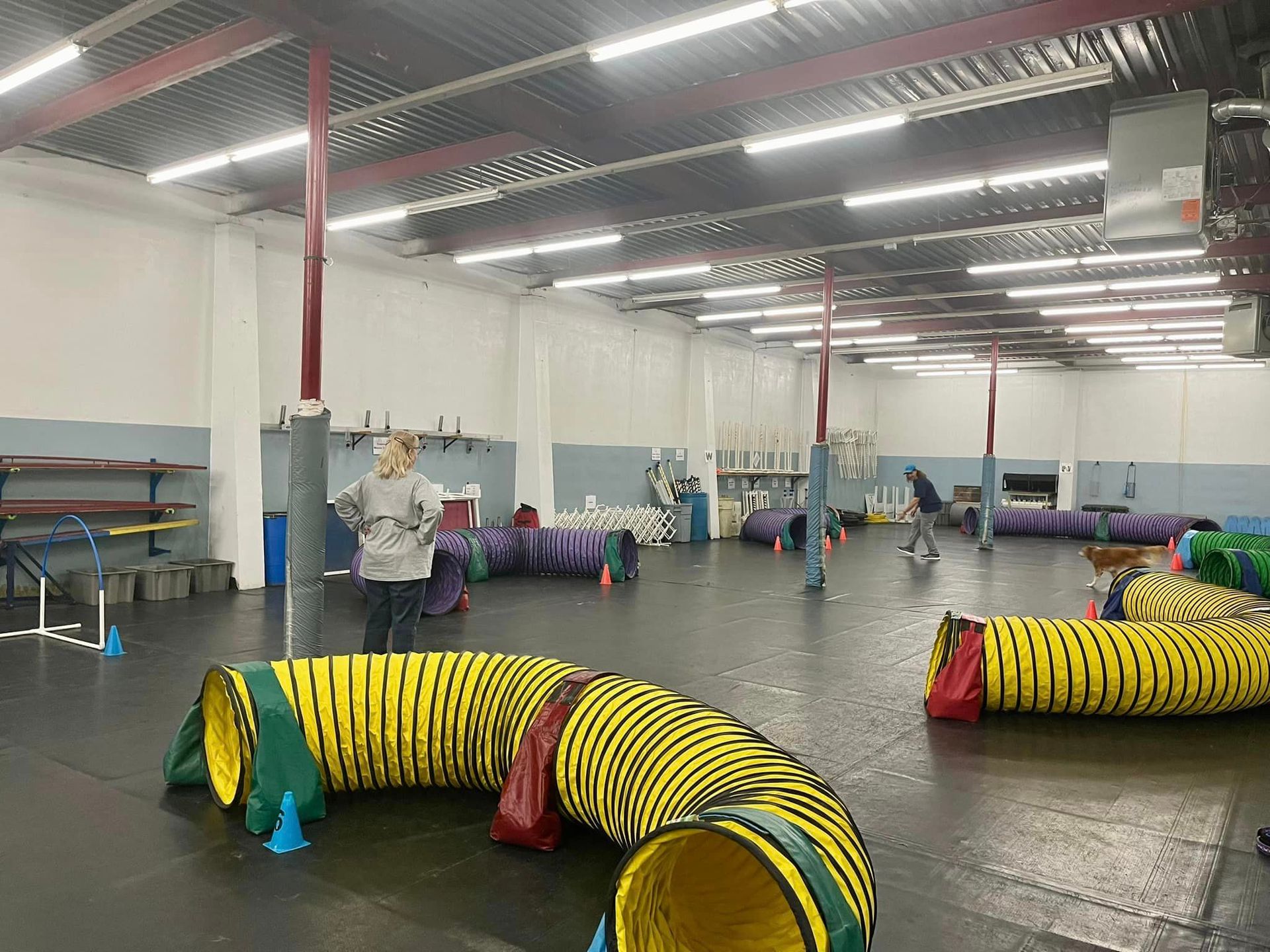 MDTC Agility Tryouts