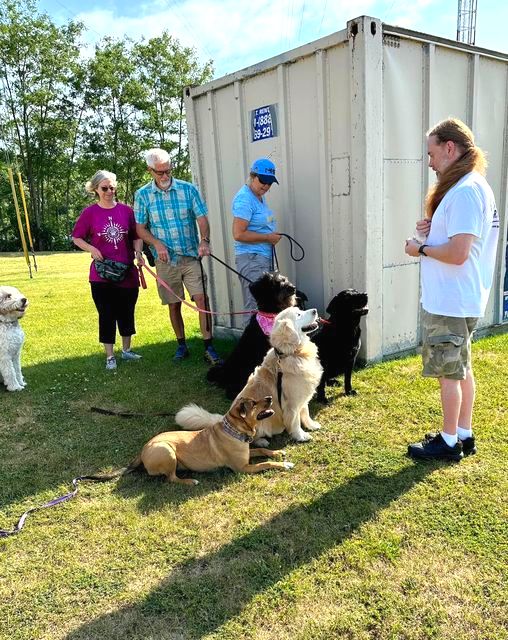 Milwaukee Dog Training Classes | Obedience, Agility, Flyball & Puppy ...