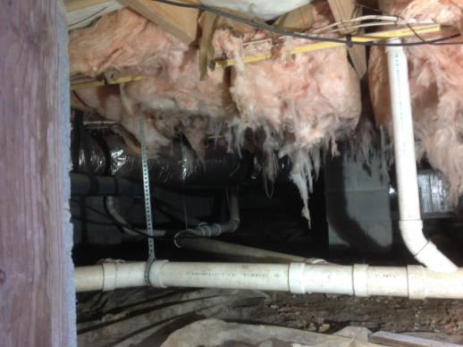 Gallery: TC Water Damage Restoration & Mold Remediation