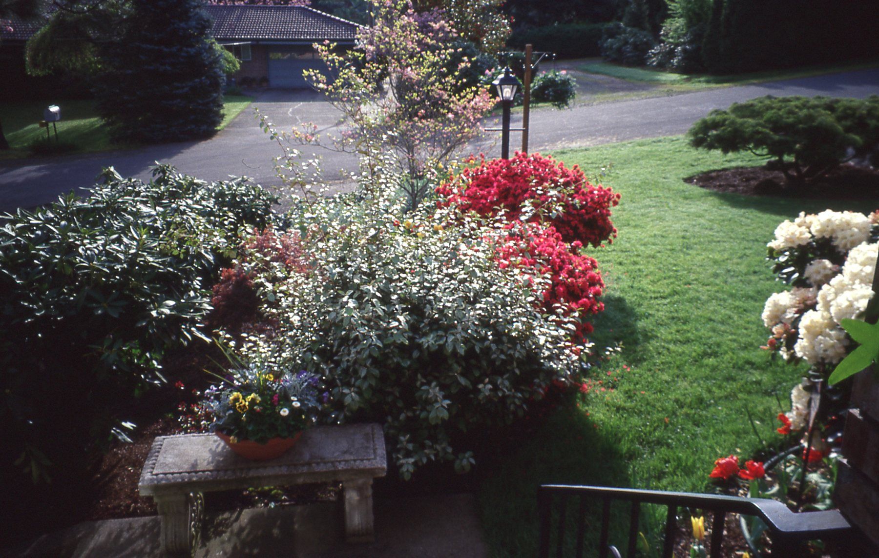 The History of Winterbloom, 40 Years of Great Landscapes and Wonderful ...