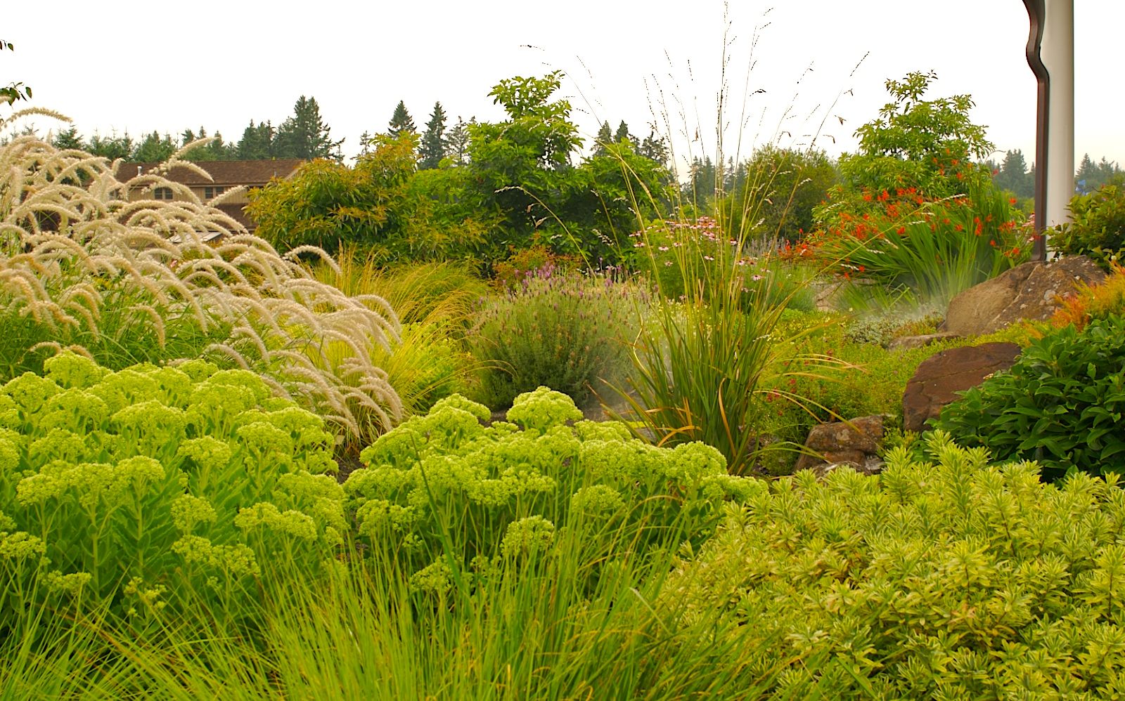 The History of Winterbloom, 40 Years of Great Landscapes and Wonderful ...