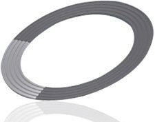 Maxigraph Corrugated Graphite Gasket | KLINGER GPI