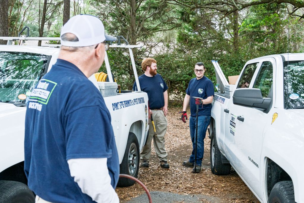 Pest Control | Beaufort, SC | Beaufort Pest Control, LLC